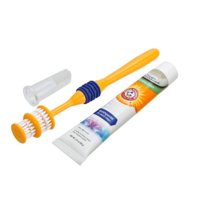 Arm & Hammer Dog Dental Kit - Company Of Animals ES