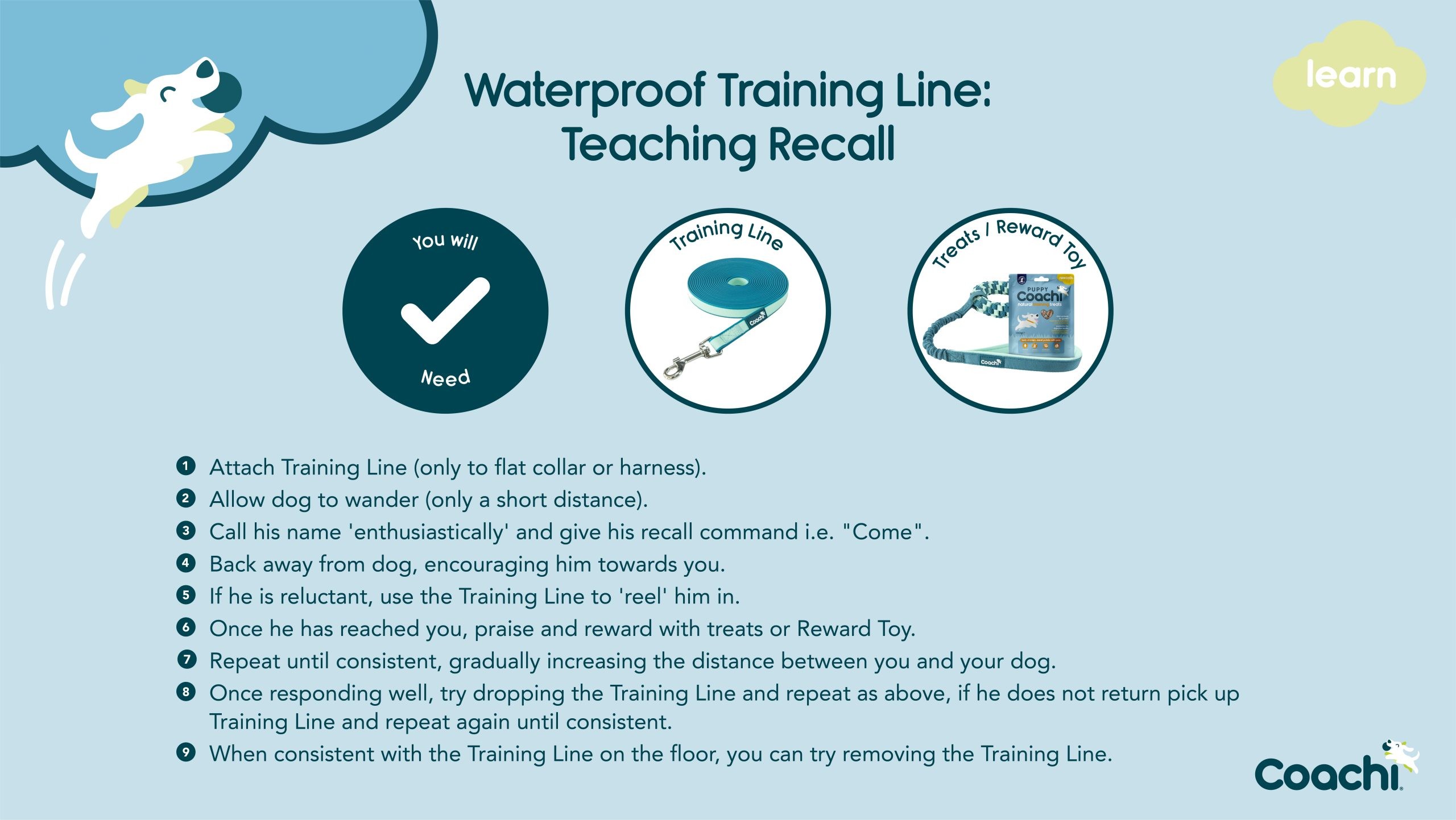 Coachi Dog Training Tools | Build Recall, Focus & Confidence With Ease