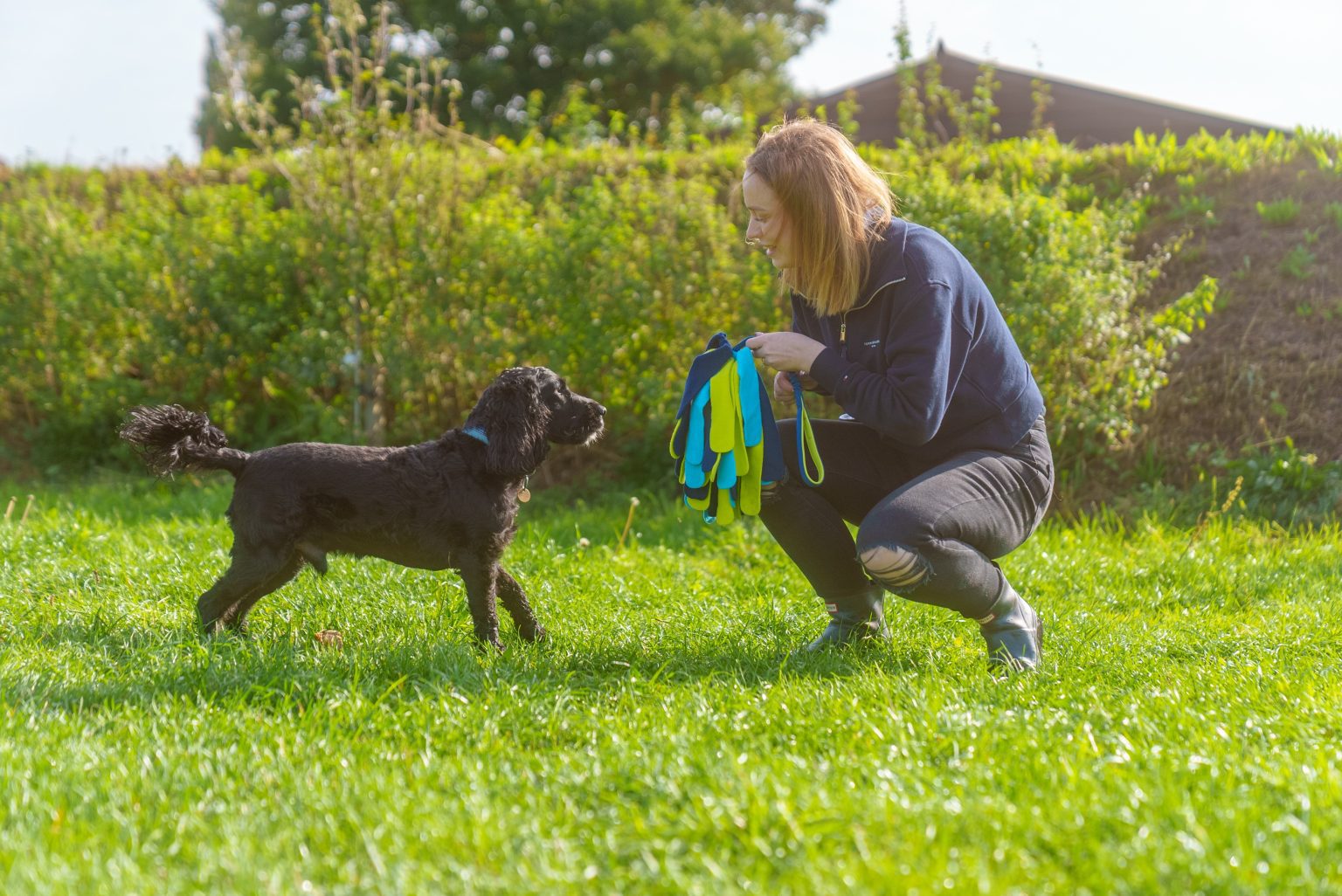 The Ultimate Dog Recall Training Guide | Train Your Dog to Come Every Time